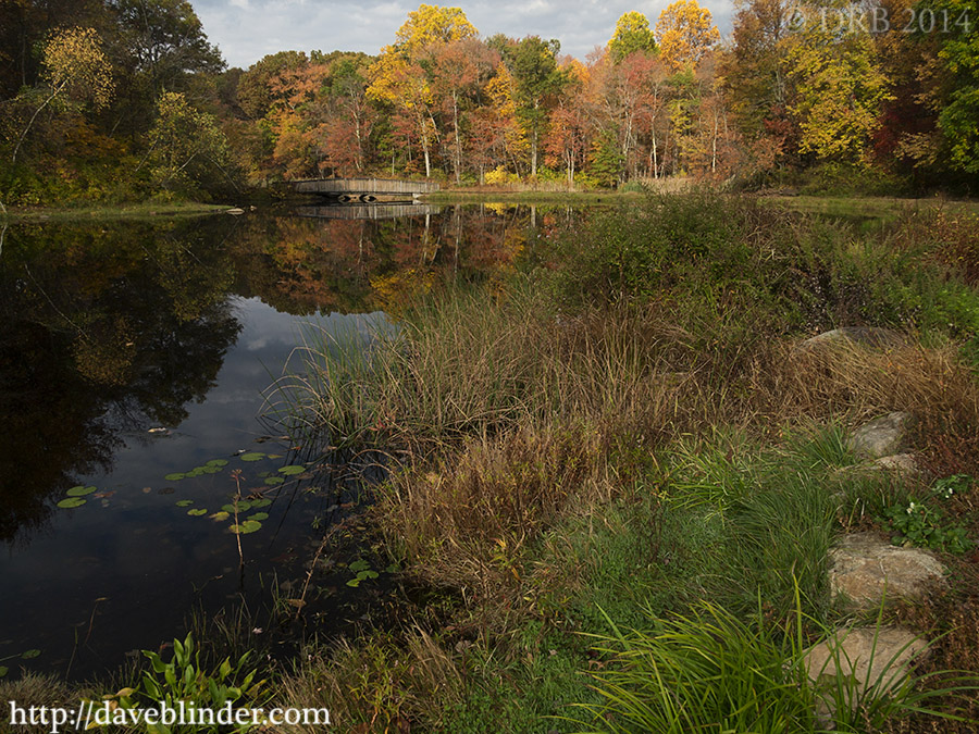New Jersey Landscape Photography: Muriel Hepner Park; Autumn | Dave ...