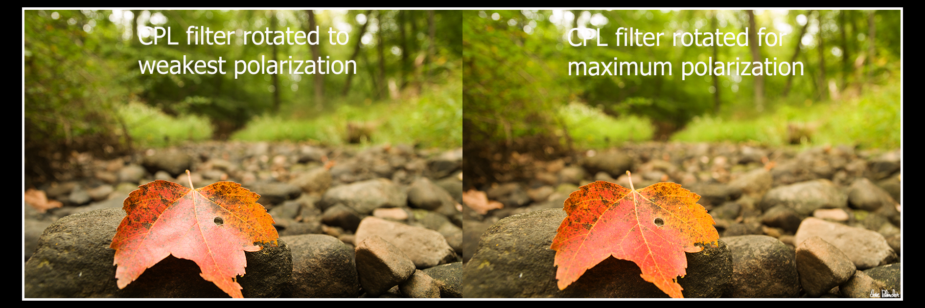 The effects of a CPL (Circular Polarizing Filter) for landscape ...