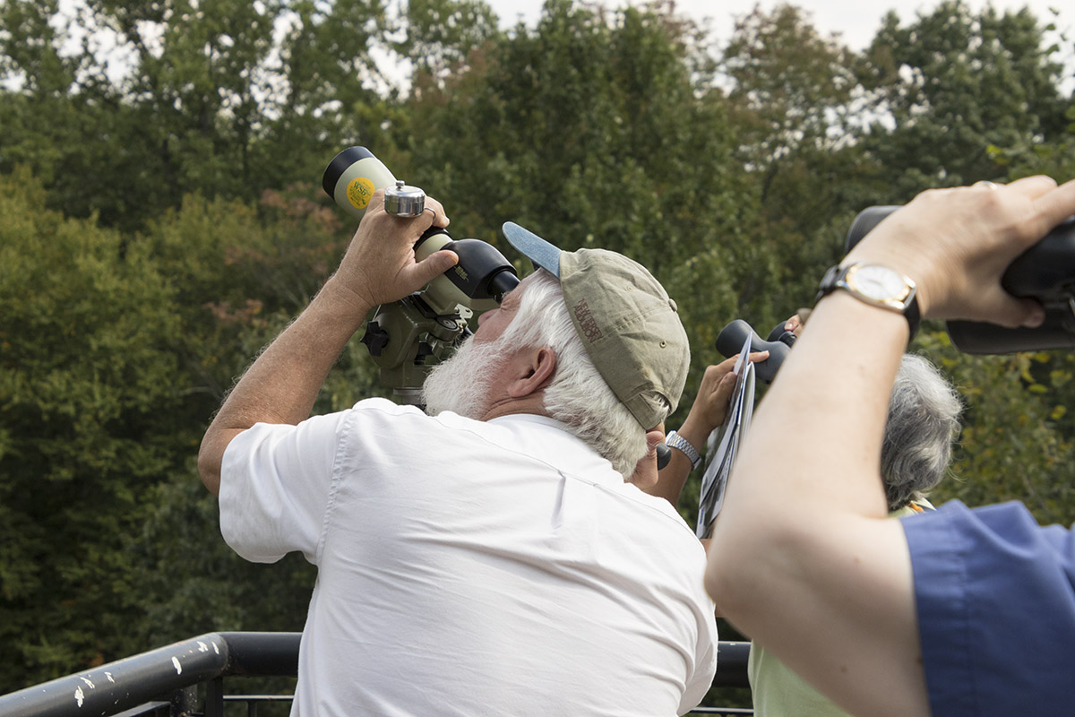 DaveBlinder PeteDunne Hawkwatch IMG_2507 | Dave Blinder Nature Photography