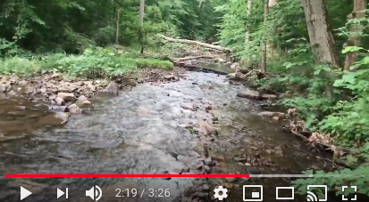 Nature walk at New Jersey Audubon’s Scherman Hoffman Wildlife Sanctuary ...