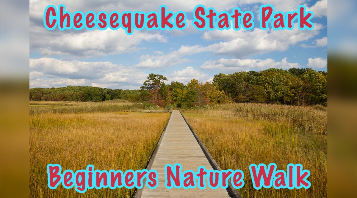 Beginner’s Nature Walk at Cheesequake State Park | Dave Blinder Nature ...