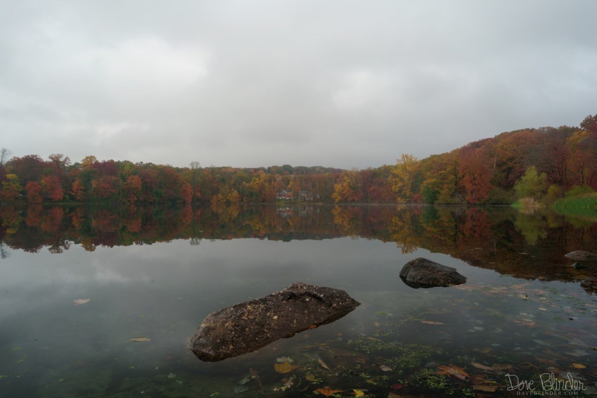 Cook’s Pond in Autumn | Dave Blinder Nature Photography