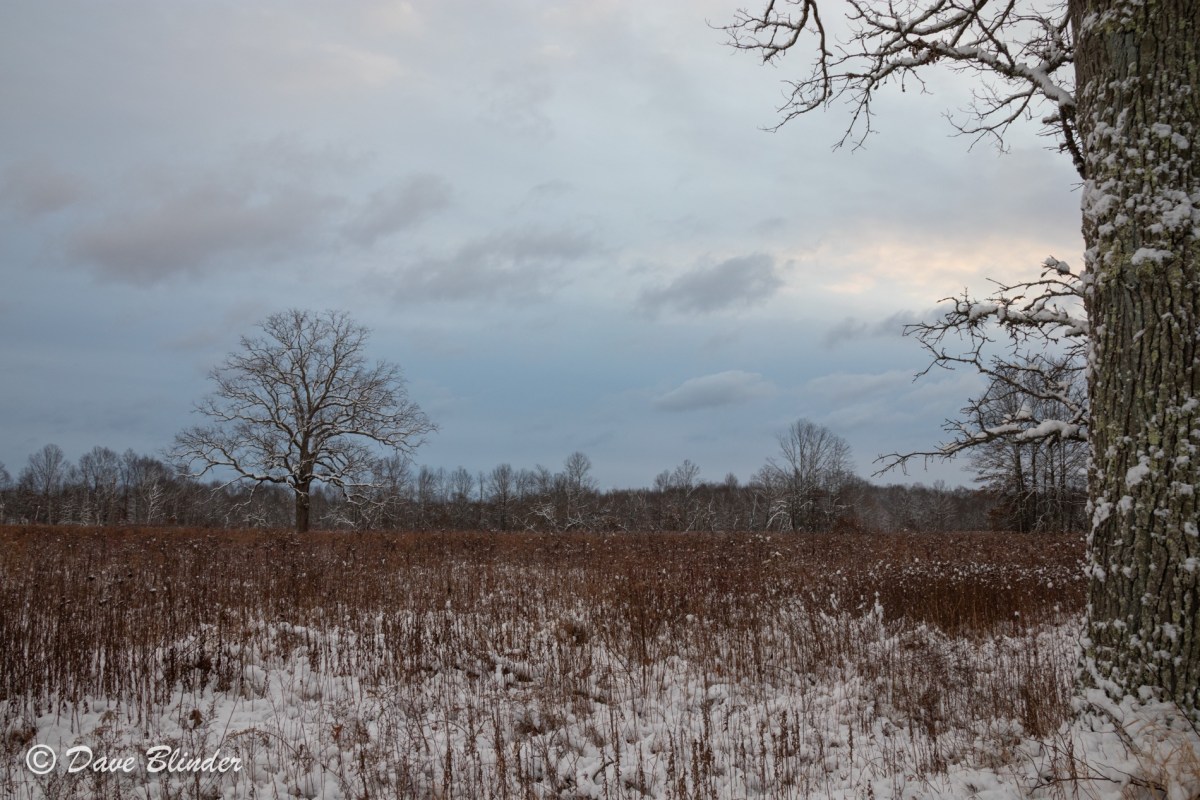 Field in Winter | Dave Blinder Nature Photography